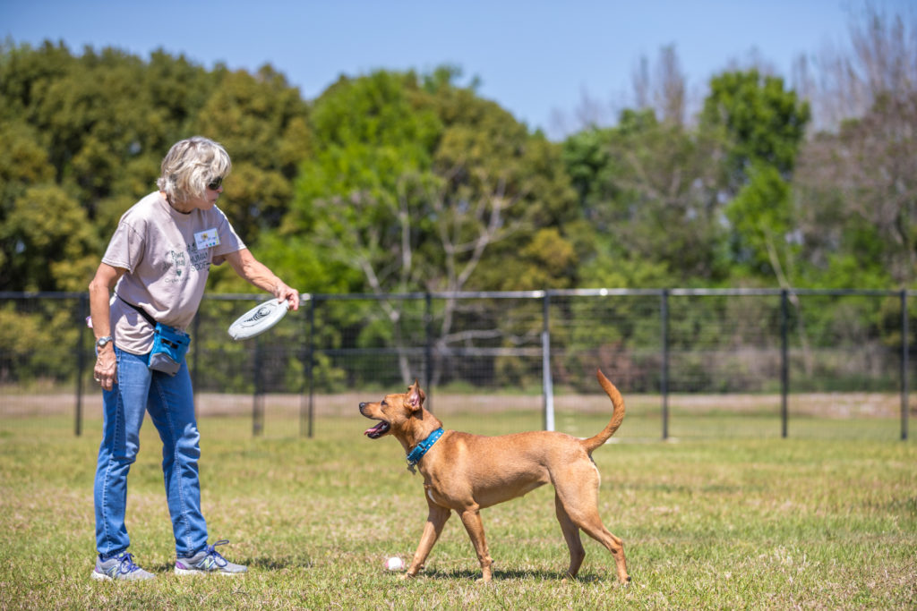 Volunteering | Humane Society of Polk County