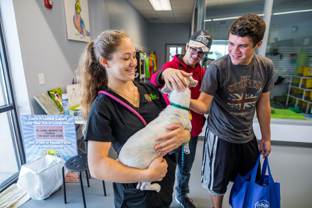 Volunteering | Humane Society of Polk County